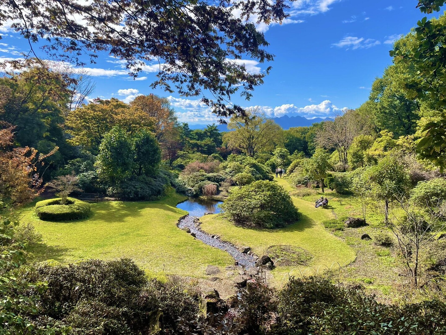 仲間達と赤城自然園🍁を散策😊 / mmmさんの赤城山・黒檜山・荒山の活動データ | YAMAP / ヤマップ