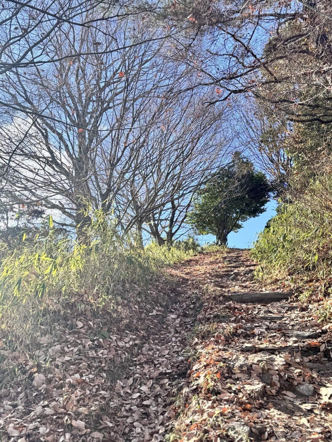 二上山（雄岳・雌岳） 6 / aranさんの葛城修験エリアマップ（二上山周辺）の活動日記 | YAMAP / ヤマップ