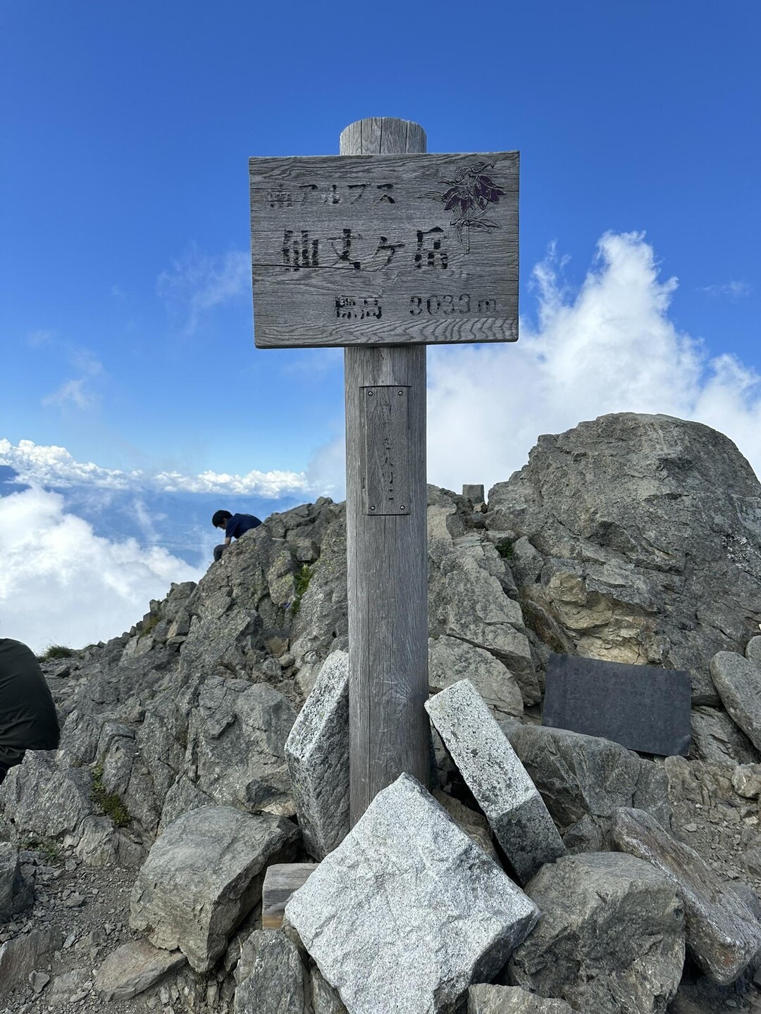 仙丈ヶ岳#41 / Highwindさんの仙丈ヶ岳・伊那荒倉岳の活動データ | YAMAP / ヤマップ