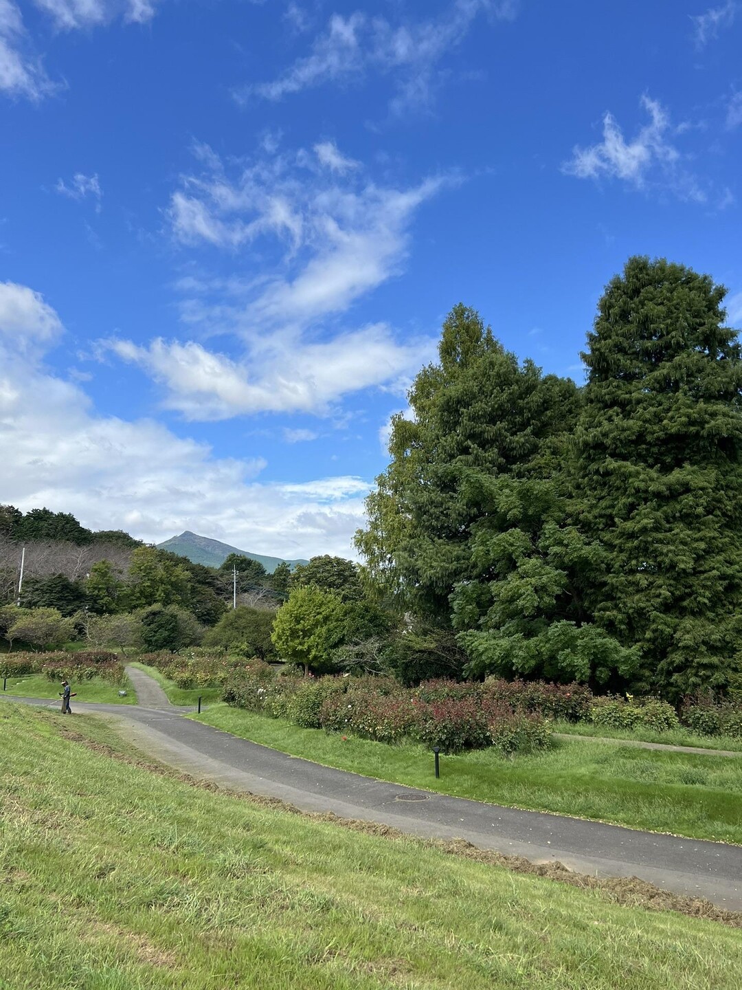 筑波山トレ / chieさんの筑波山の活動データ | YAMAP / ヤマップ