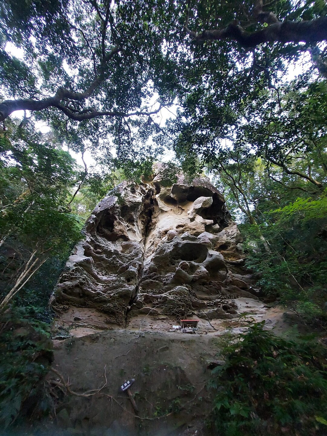 宮崎バッチ①双石山 / KAMIちゃん🐤さんの双石山・花切山・岩壺山の活動データ | YAMAP / ヤマップ