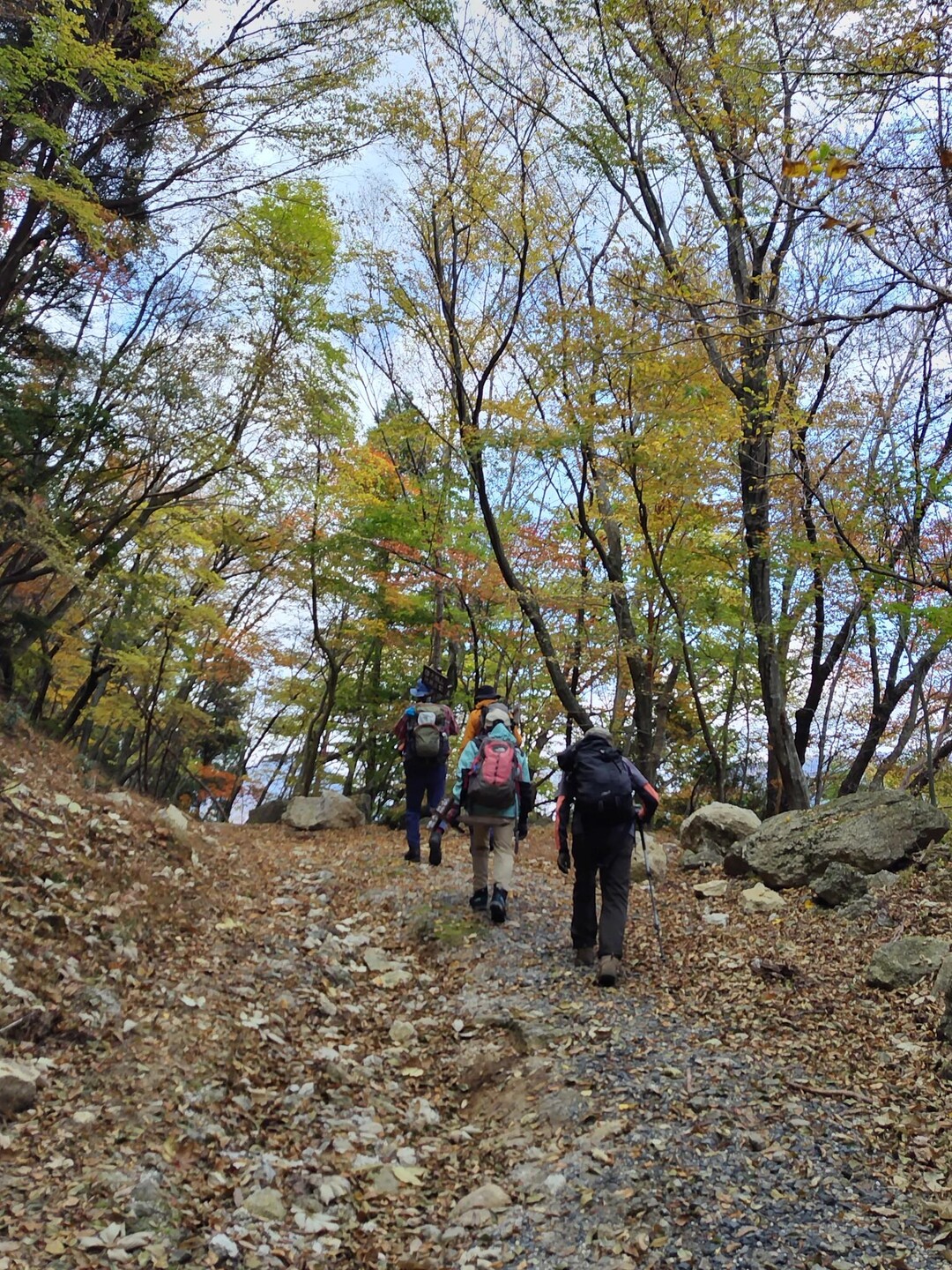 大崩山 鹿川山の会のお手伝い / nanaoさんの大崩山・五葉岳・新百姓山の活動データ | YAMAP / ヤマップ