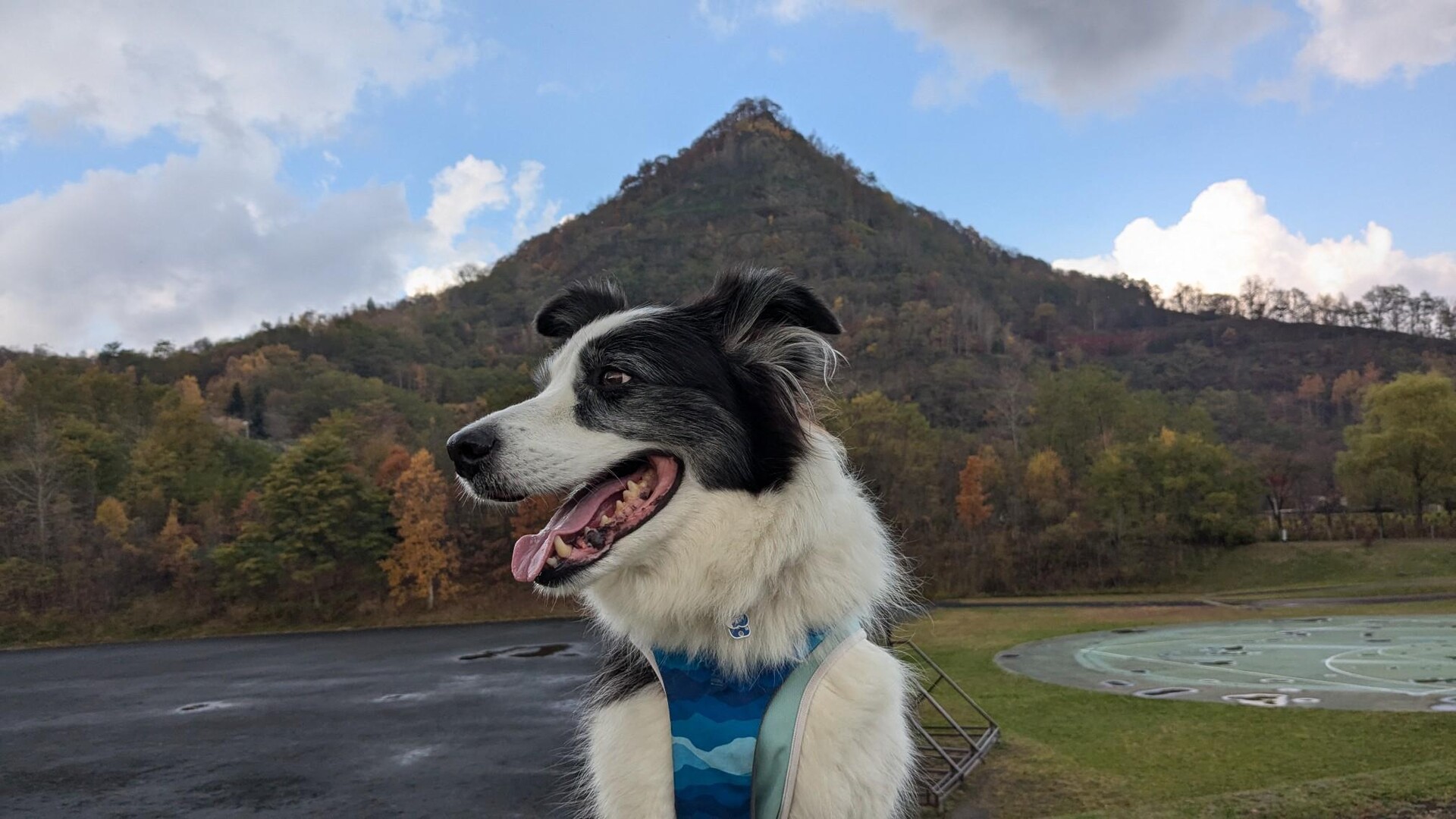 五天山 / zero_bcさんの三角山・大倉山・円山の活動データ | YAMAP / ヤマップ