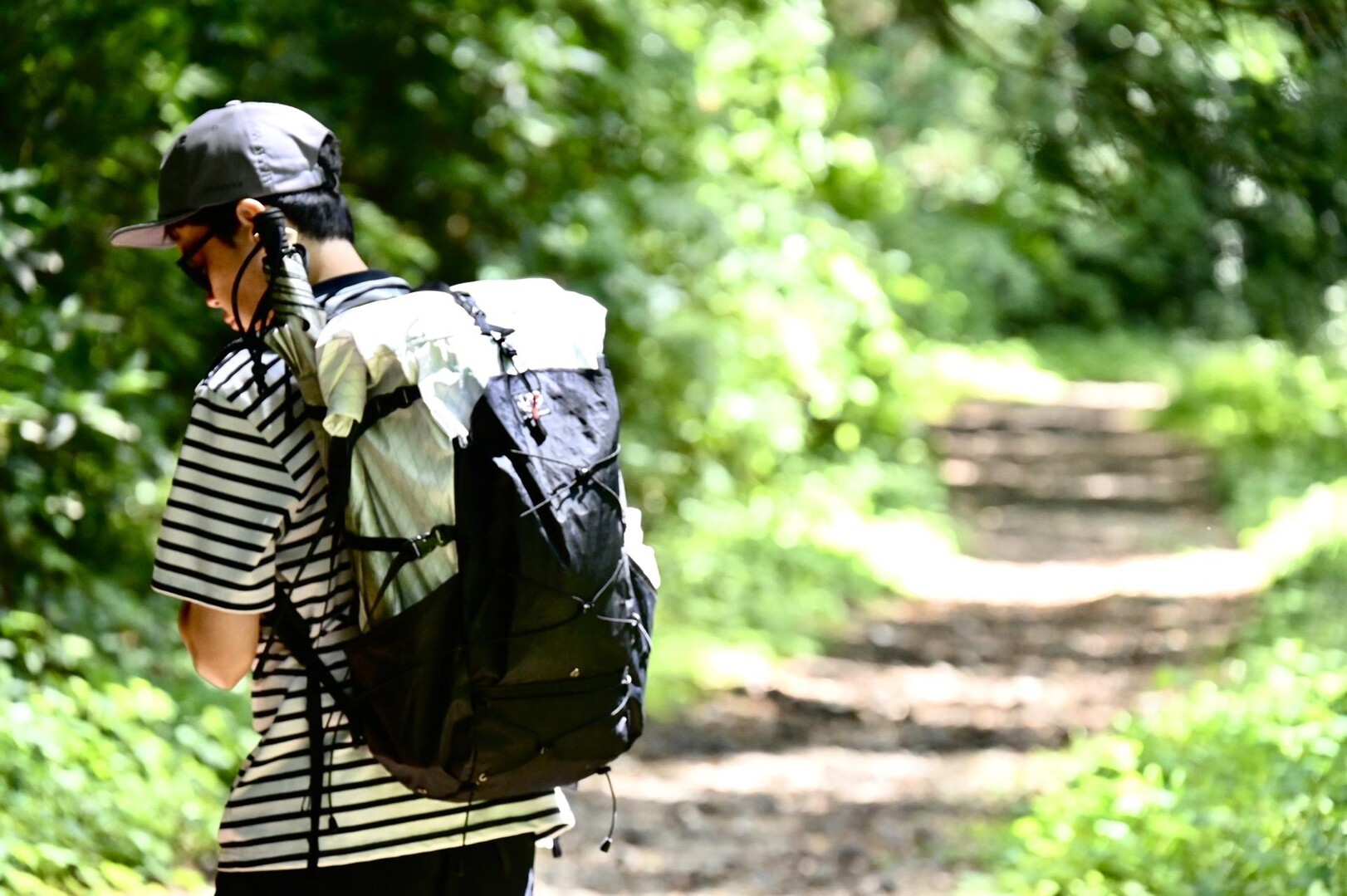 山猫ビアンコネロ撮影in天竺山⛰️🐈‍⬛ / mameggsさんの網代弁天山・網代城山の活動データ | YAMAP / ヤマップ