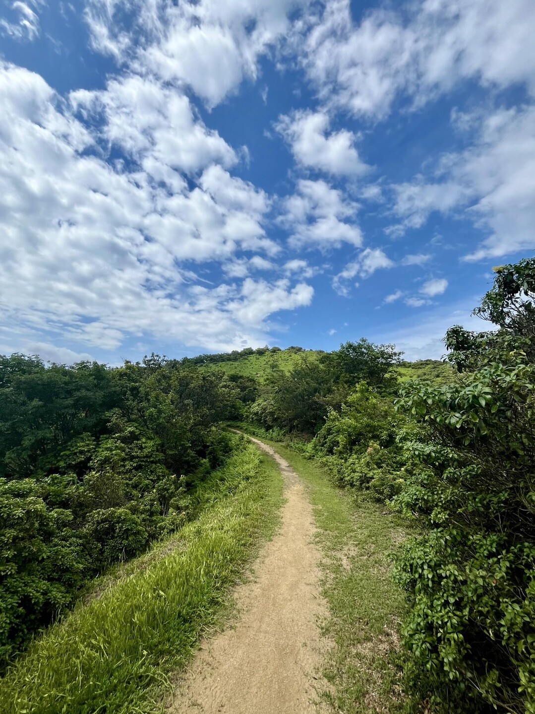 養老山-2024-07-06 / Mimiさんのウォーキングの活動データ | YAMAP / ヤマップ