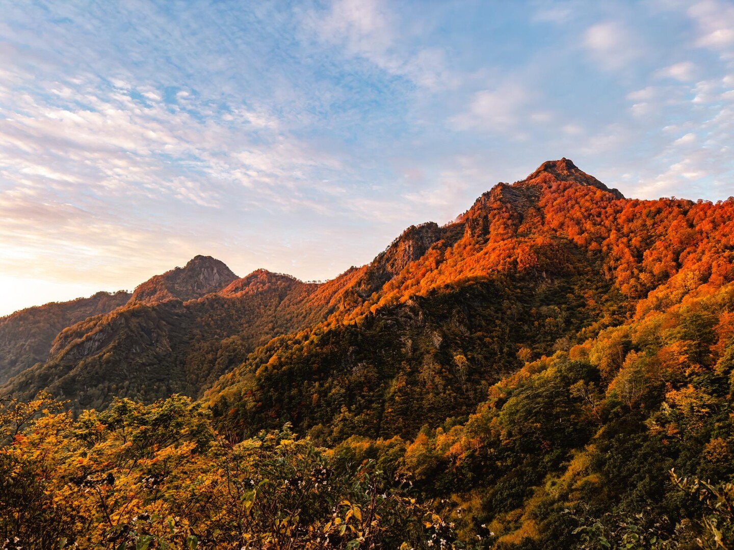 海谷山塊縦走（駒ヶ岳・鬼ヶ面山・鋸岳） / mt.suuuさんの雨飾山・大渚山・天狗原山・戸倉山の活動データ | YAMAP / ヤマップ