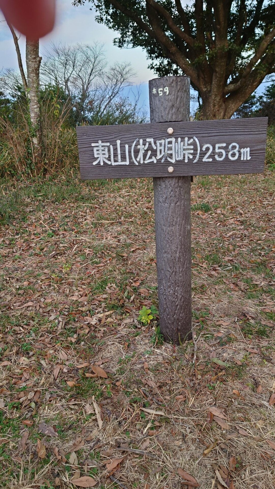 東山 / Detuさんの坊ヶ峰・石巻山・神石山・葦毛湿原の活動データ | YAMAP / ヤマップ