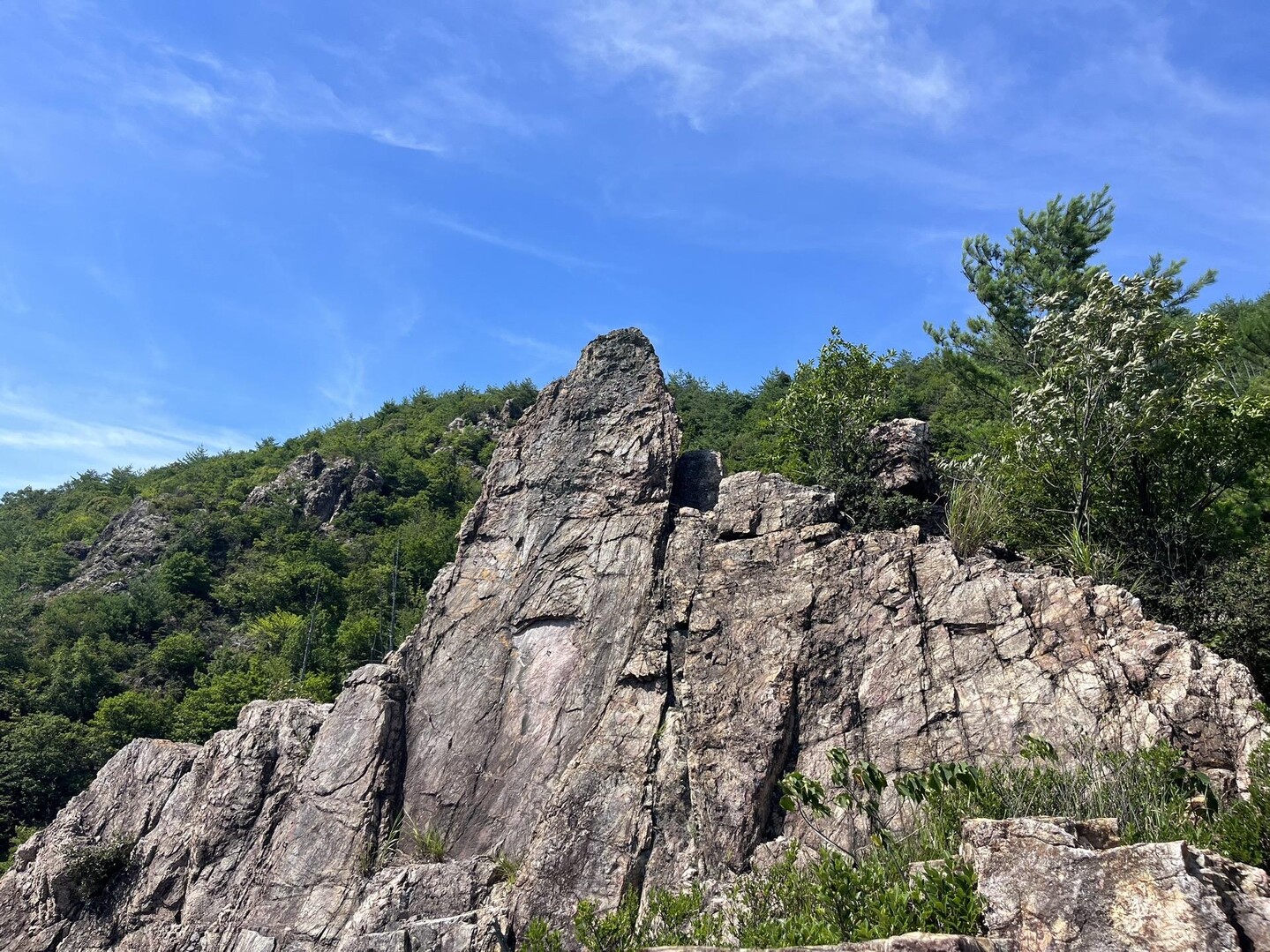 VR「権現槍ｰどんぐり三山」縦走 / つきさんの各務原アルプス（関南アルプス）・八木三山の活動日記 | YAMAP / ヤマップ