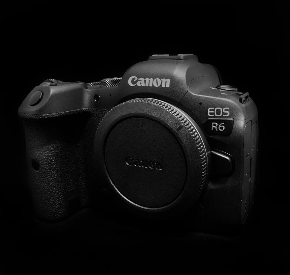 「Canon EOS R6 MARK I... / 犬太さんのモーメント | YAMAP / ヤマップ