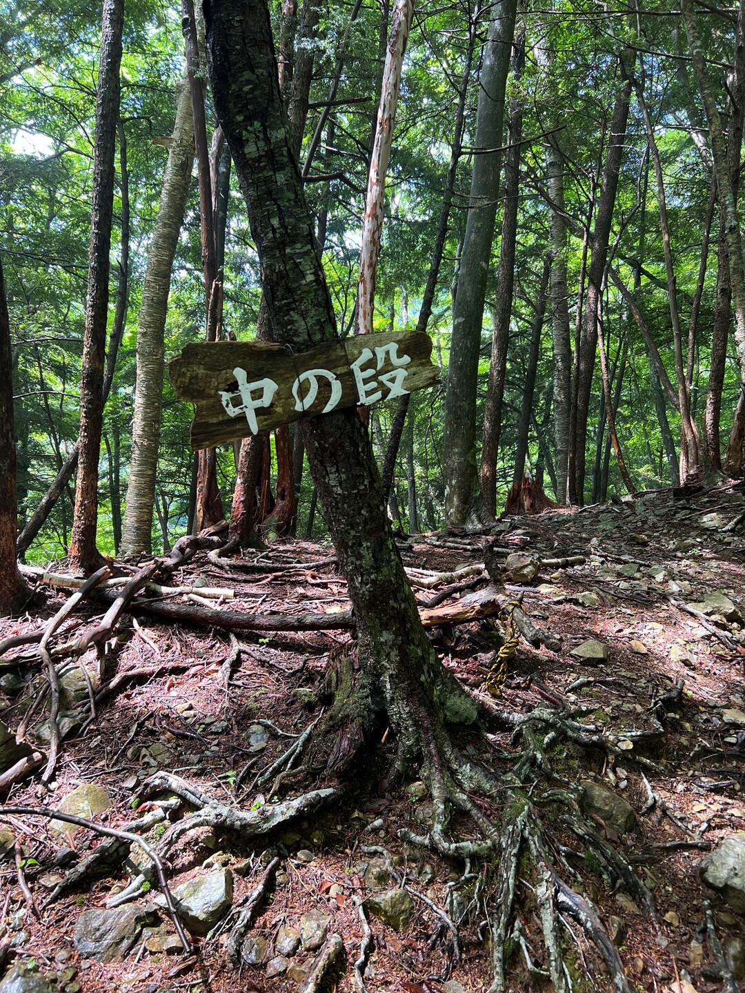 Hal（のぼるたべるあそ部）さんの投稿したフィールドメモ | YAMAP / ヤマップ