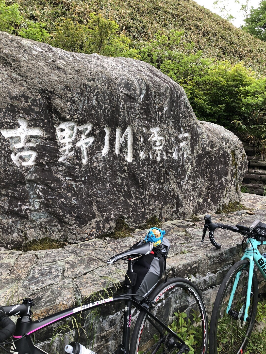 石鎚スカイライン&UFOライン サイクリング2022-06-18 / ブルーさんのサイクリングの活動データ | YAMAP / ヤマップ