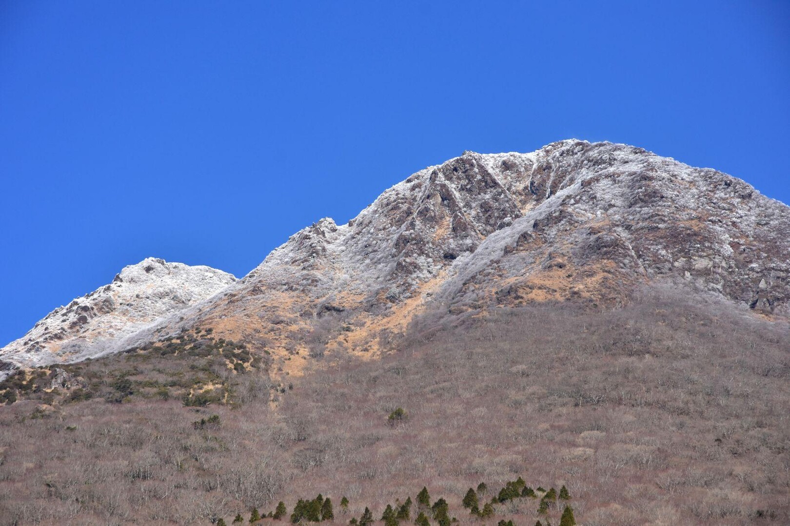 由布岳 no 杭 / よっちゃんさんの由布岳・鶴見岳の活動データ | YAMAP / ヤマップ