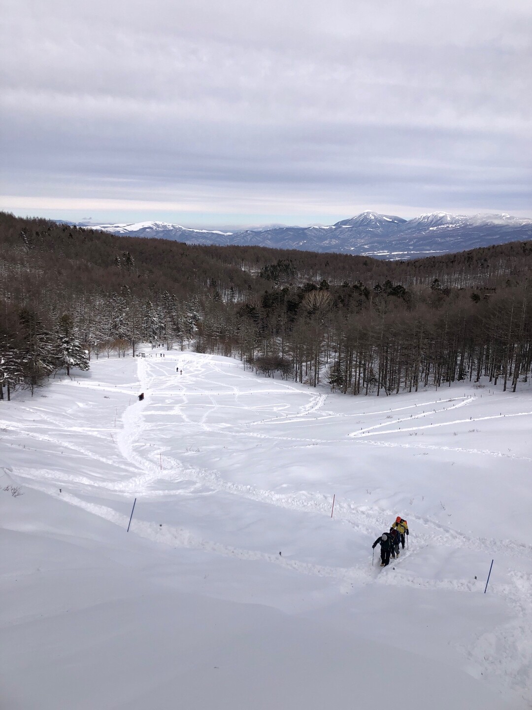 アカノラ山・入笠山 / nomotyさんの入笠山の活動データ | YAMAP / ヤマップ