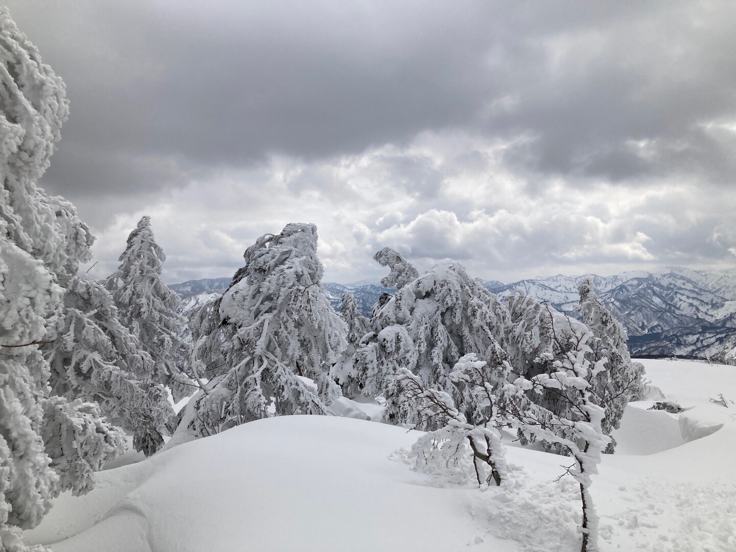 美しい樹氷、稜線の大蔵 / katsu.fdさんの菅名岳・大蔵山・鳴沢峰の活動日記 | YAMAP / ヤマップ