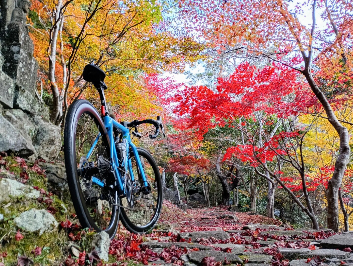 2024.11.23-24 土日は紅葉ラ... / yoshiさんのモーメント | YAMAP / ヤマップ