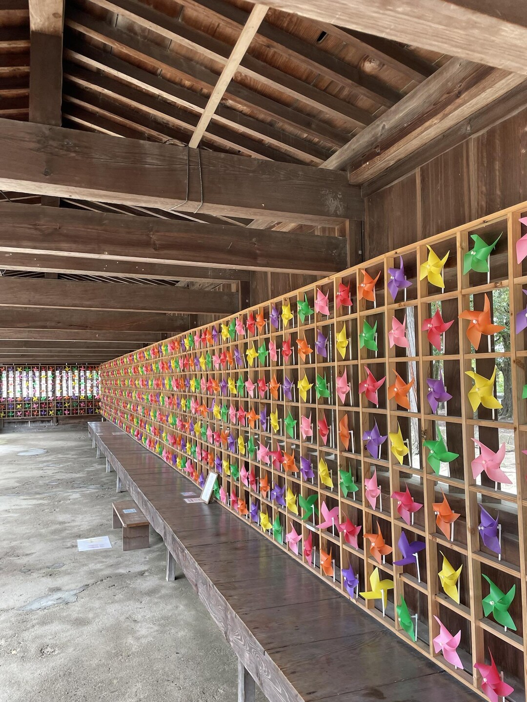 241027御山 / koji・ω・さんの帰来山・石槌山・笠江山の活動データ | YAMAP / ヤマップ