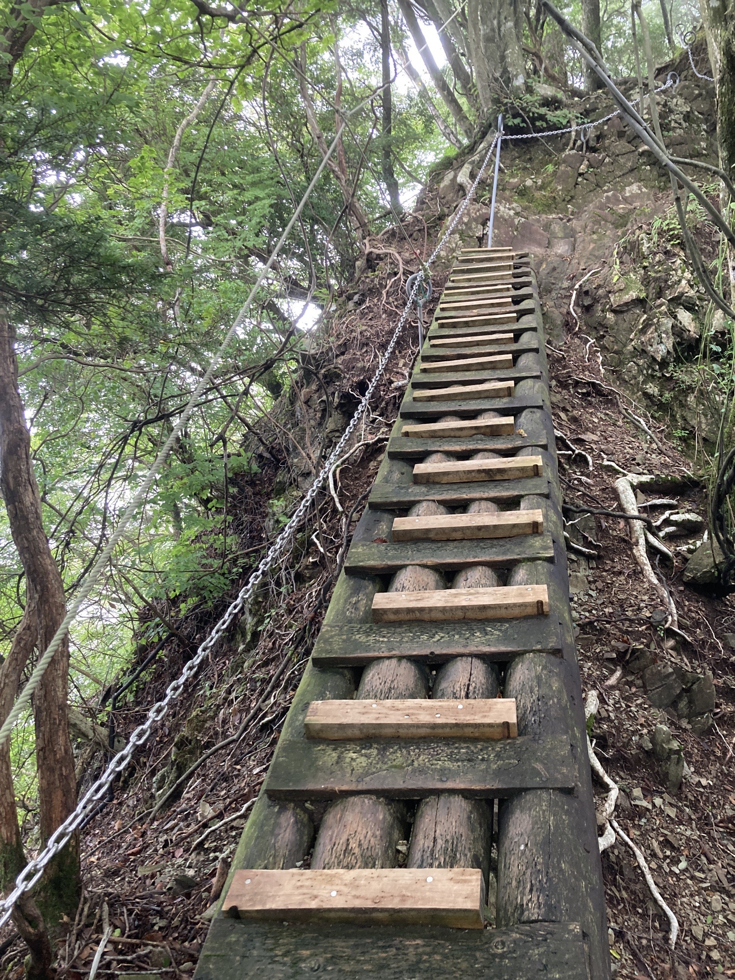 三峰山(大山三峰山)・七沢山 / kz...ymさんの大山の活動データ | YAMAP / ヤマップ