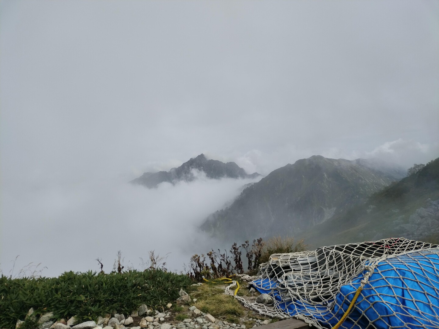 大日岳 / fu_suyueさんの立山・雄山・浄土山の活動データ | YAMAP / ヤマップ