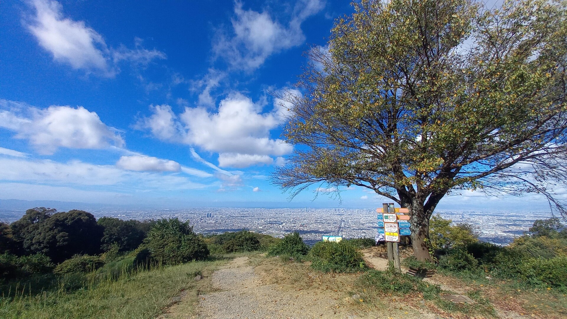 生駒山 残暑見舞い / ken000さんの生駒山・神津嶽・大原山の活動データ | YAMAP / ヤマップ