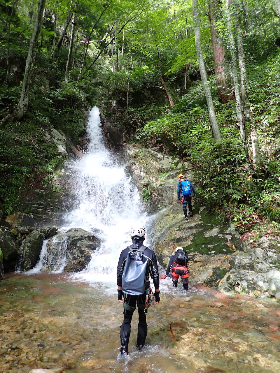 沢登り3回目 寂地峡-智元谷 / fujitacさんの吉和冠山（安芸冠山）・広高山・寂地山の活動データ | YAMAP / ヤマップ