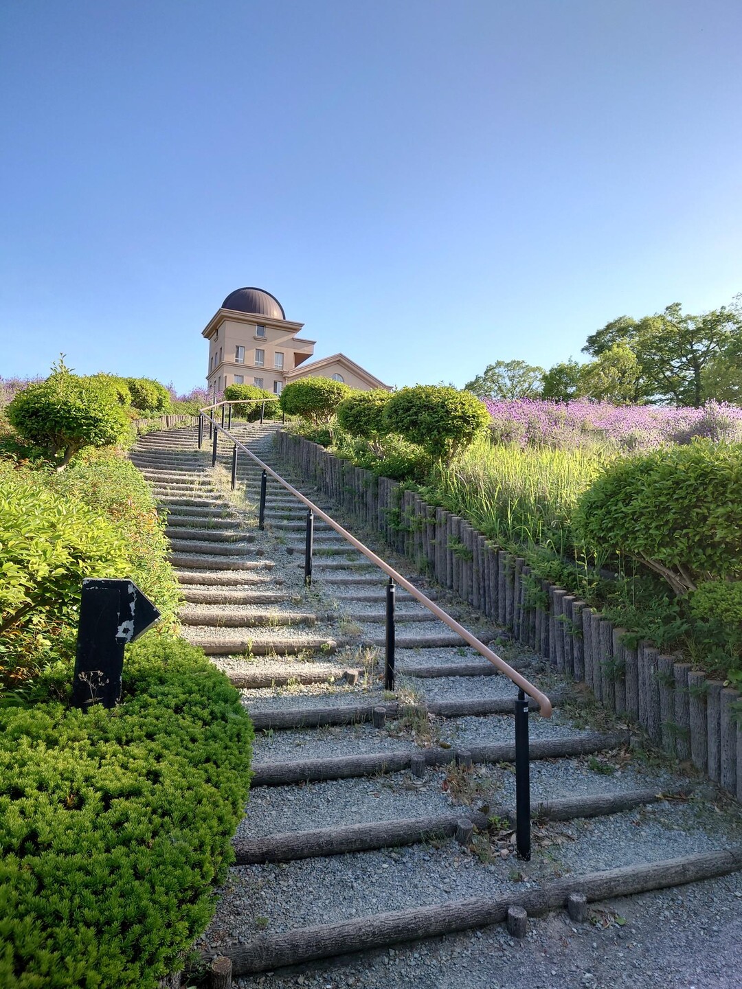 大撫山 / Ken16さんの国見山の活動データ | YAMAP / ヤマップ