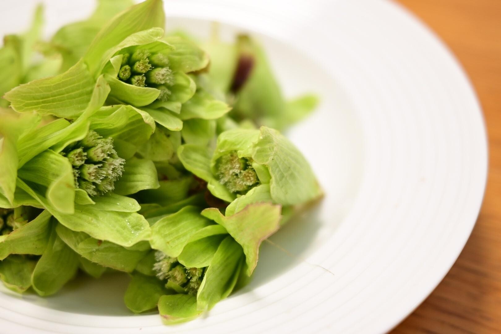 皆さん作っているので私もバッケミソ作って... / toshiさんのモーメント | YAMAP / ヤマップ