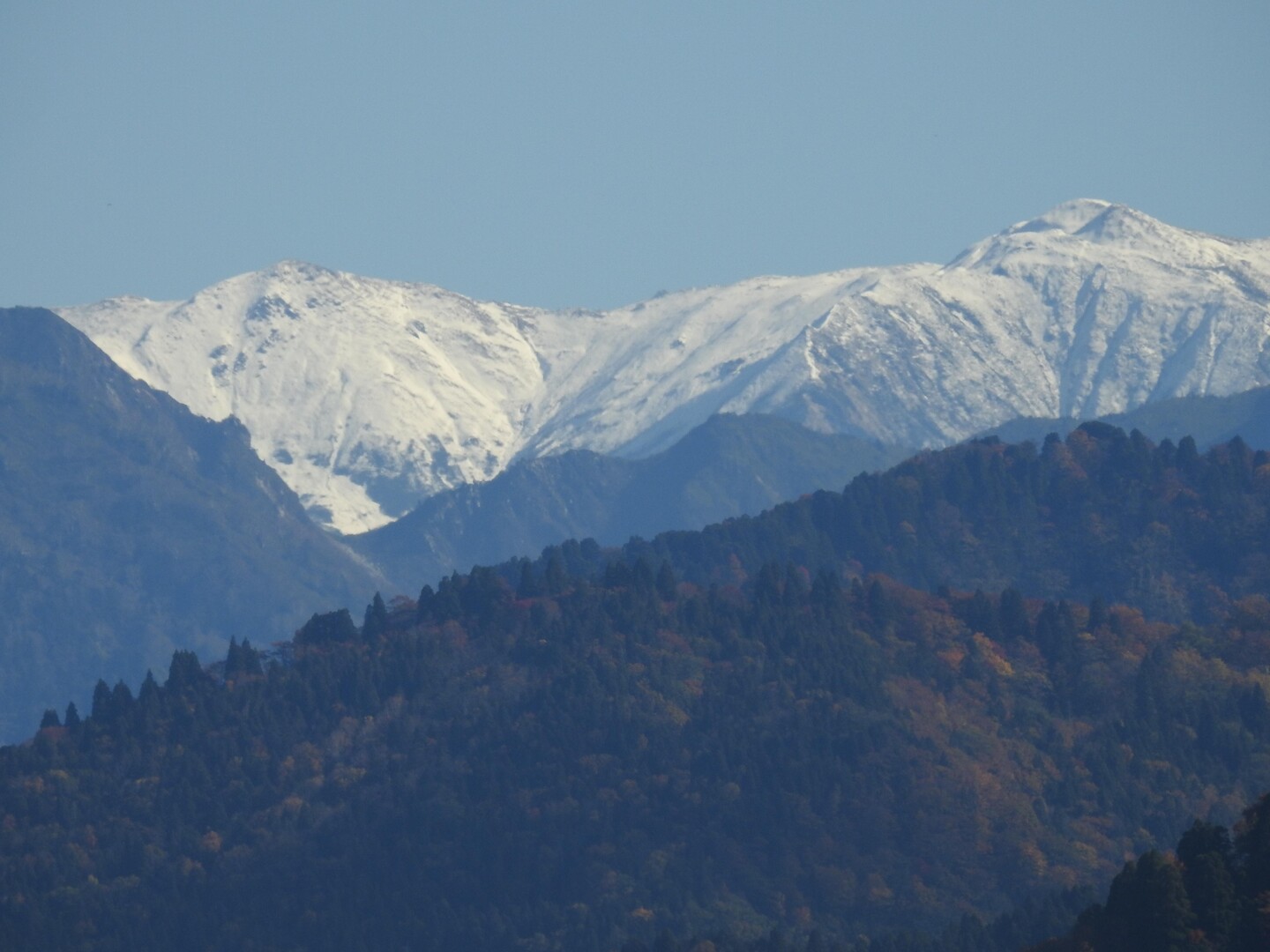 尖山-2023-10-31本道m2-本道r / Tona.Yamahasi.E.Sanpoさんの尖山の活動データ | YAMAP / ヤマップ