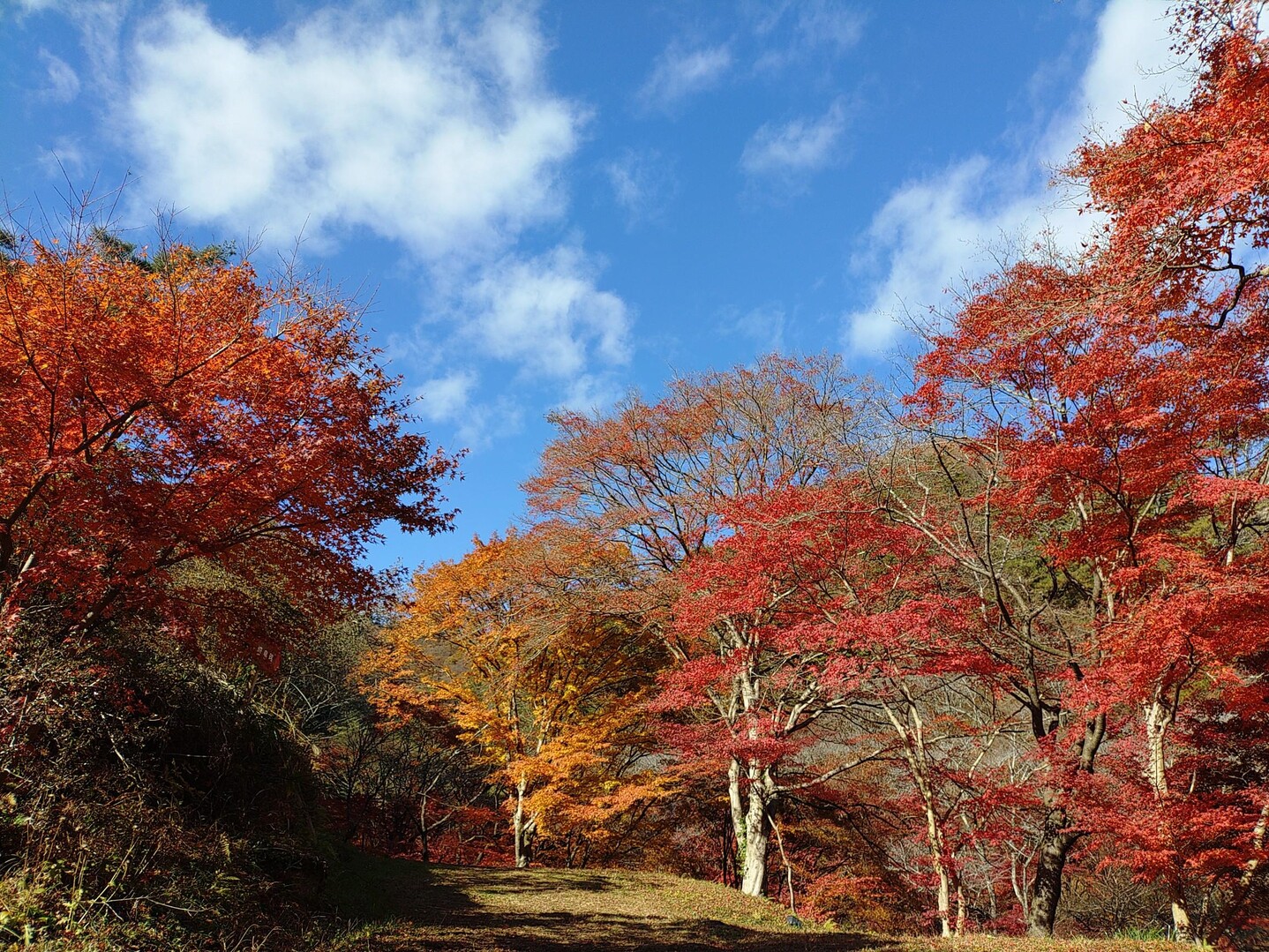 「Brother PEAKs#6」檜山・天道塚・矢祭山 / Neo-amaterasuさんの矢祭山・檜山の活動データ | YAMAP / ヤマップ