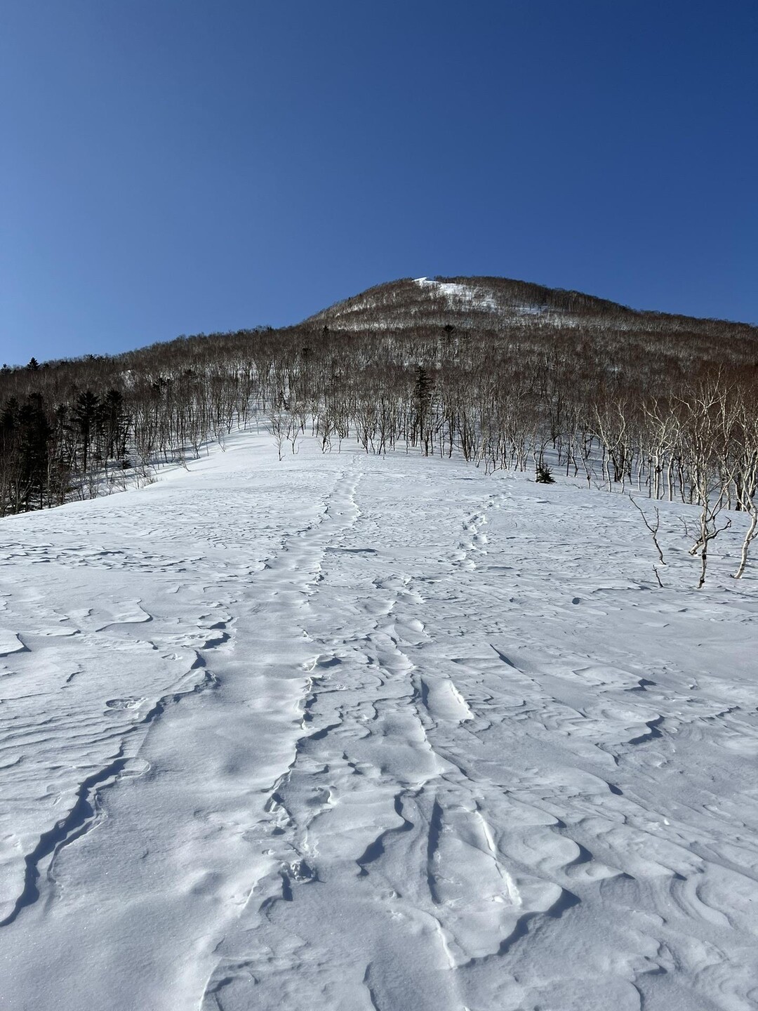 狩勝山 / nyantaroさんのGT3 6の活動データ | YAMAP / ヤマップ