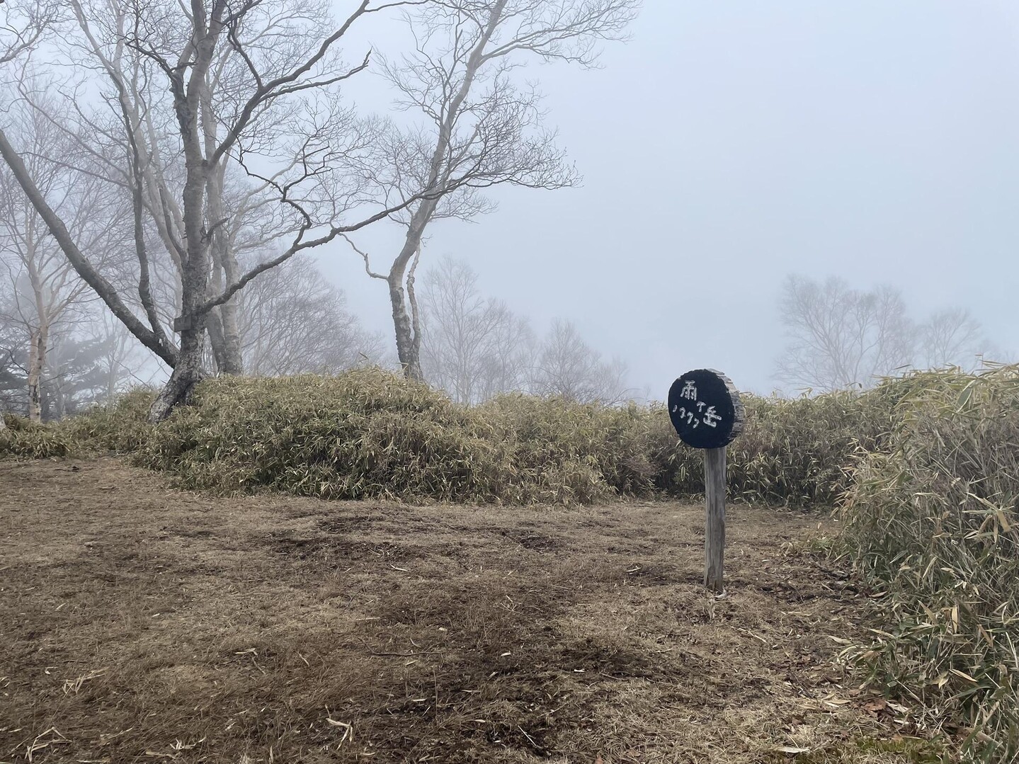 毛無山（朝霧GP→本栖湖） / yossarianさんの毛無山・雨ヶ岳・竜ヶ岳の活動データ | YAMAP / ヤマップ