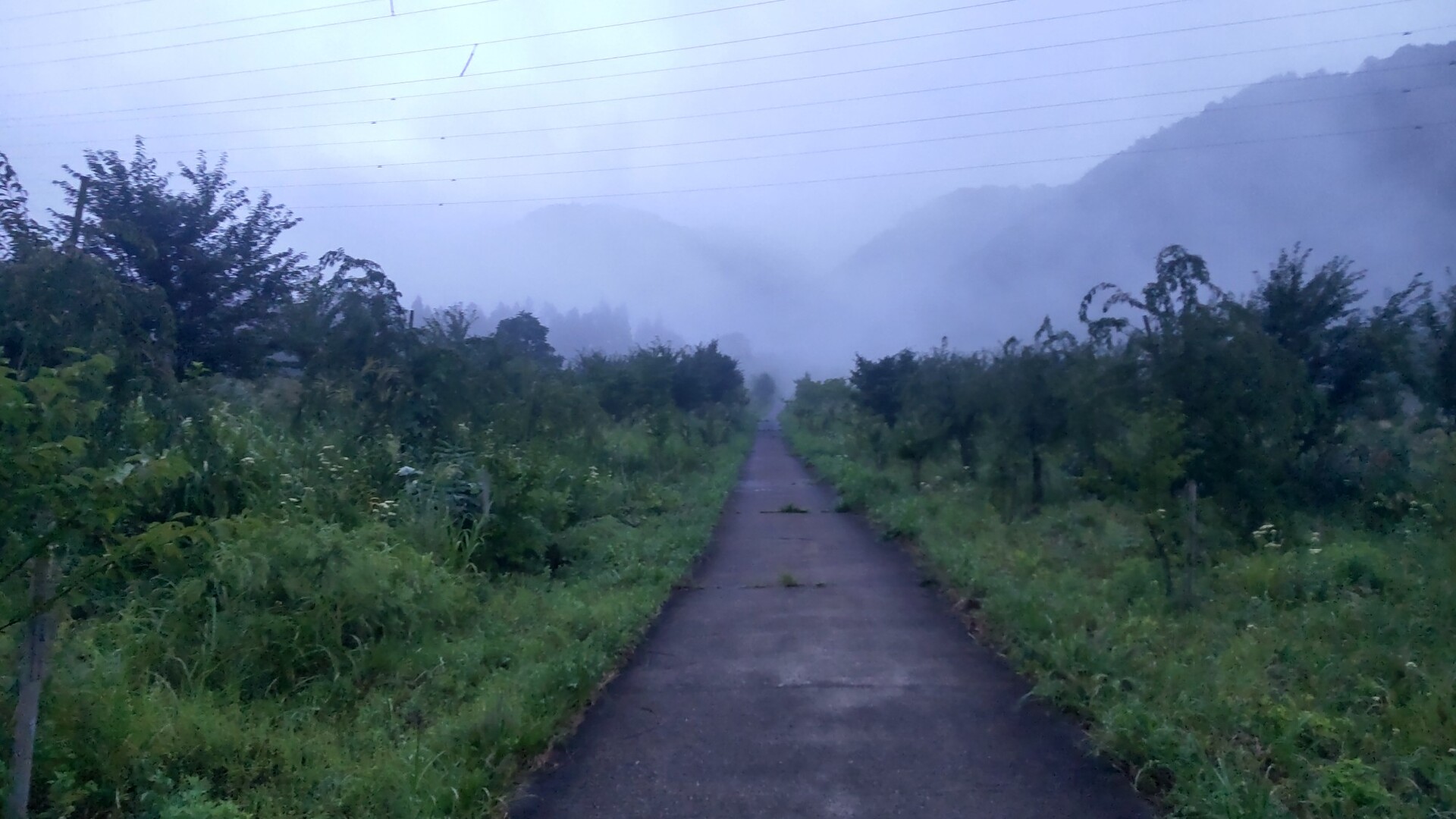 荒島岳 / zaomonsさんの荒島岳の活動データ | YAMAP / ヤマップ