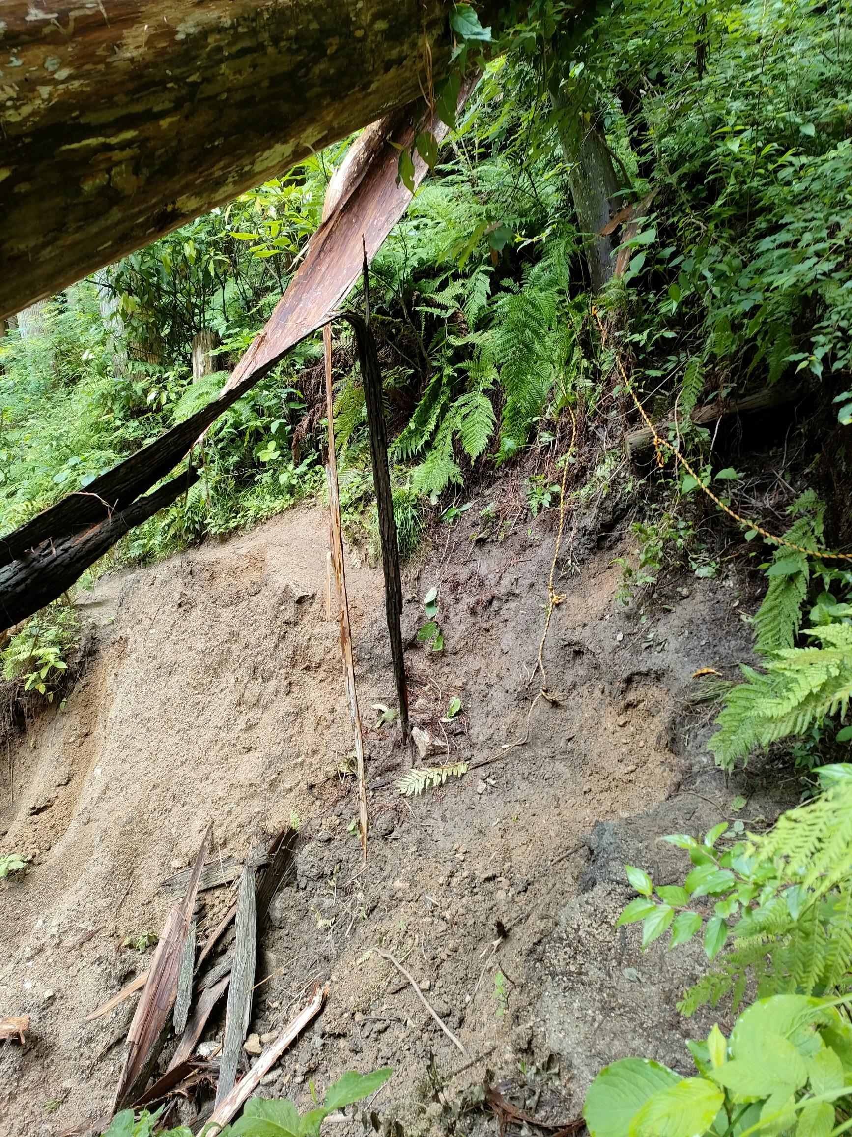 matahari88さんの投稿したフィールドメモ | YAMAP / ヤマップ