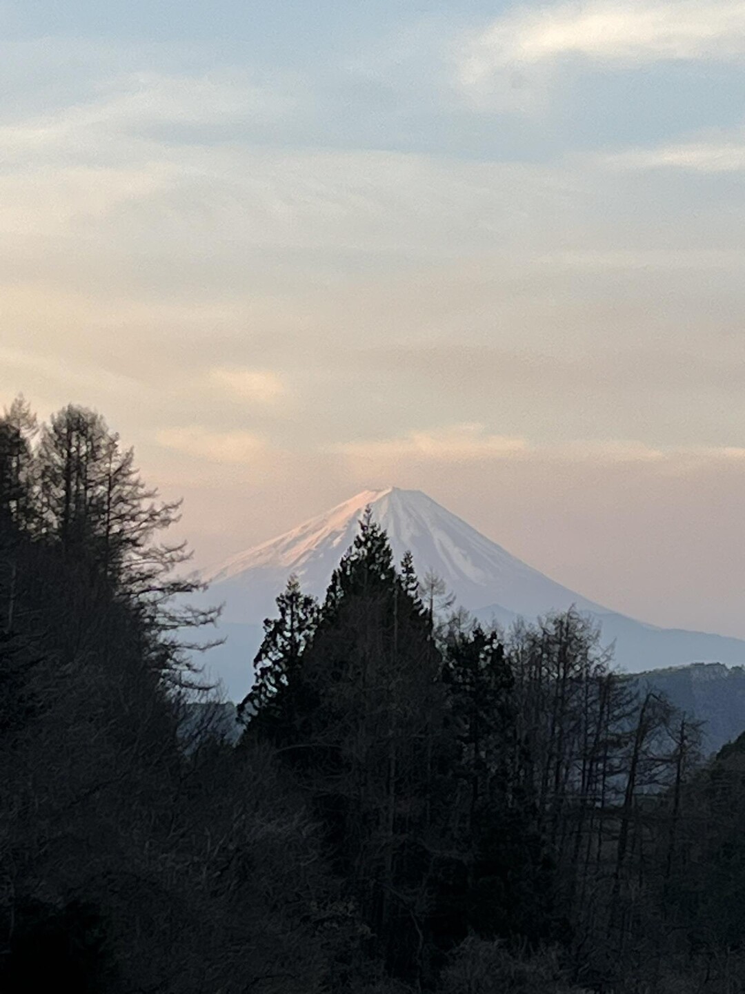 おはようございます🐶 キャンプ場🏕️... / F54JCWさんのモーメント | YAMAP / ヤマップ