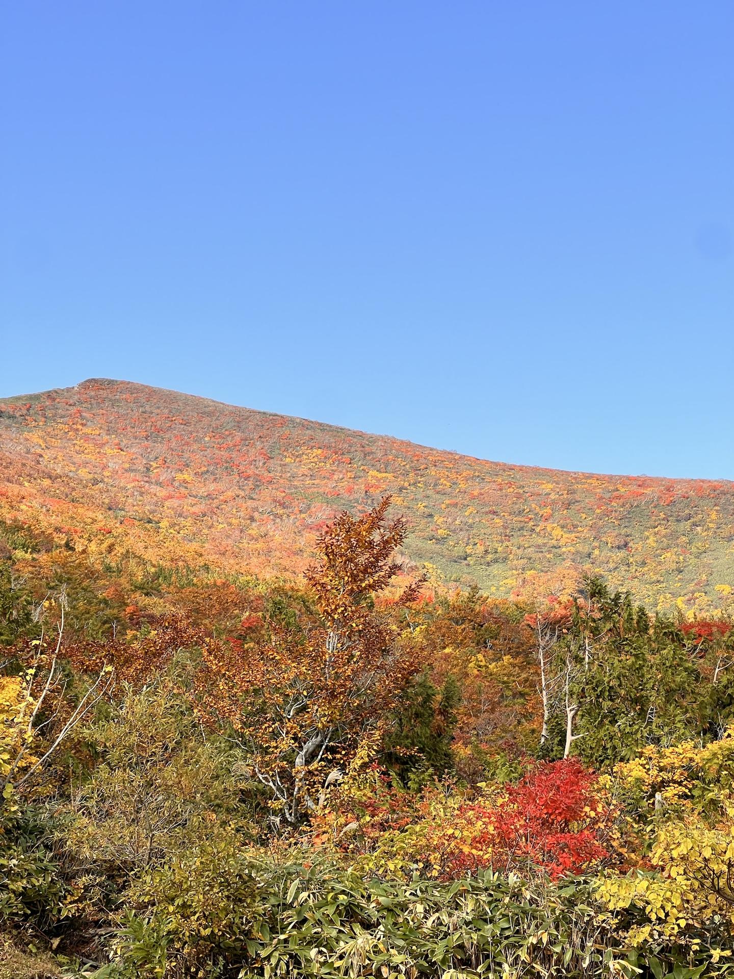 栗駒山(須川岳) / ericaさんの栗駒山（須川岳）・秣岳・虚空蔵山の活動データ | YAMAP / ヤマップ