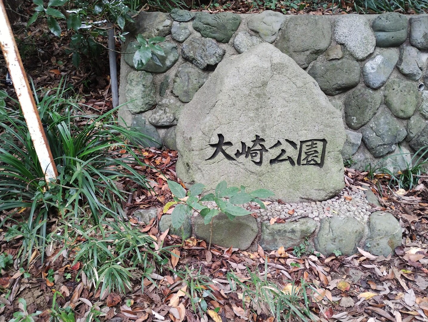 披露山 / tarouさんの三浦アルプス・二子山・仙元山の活動データ | YAMAP / ヤマップ