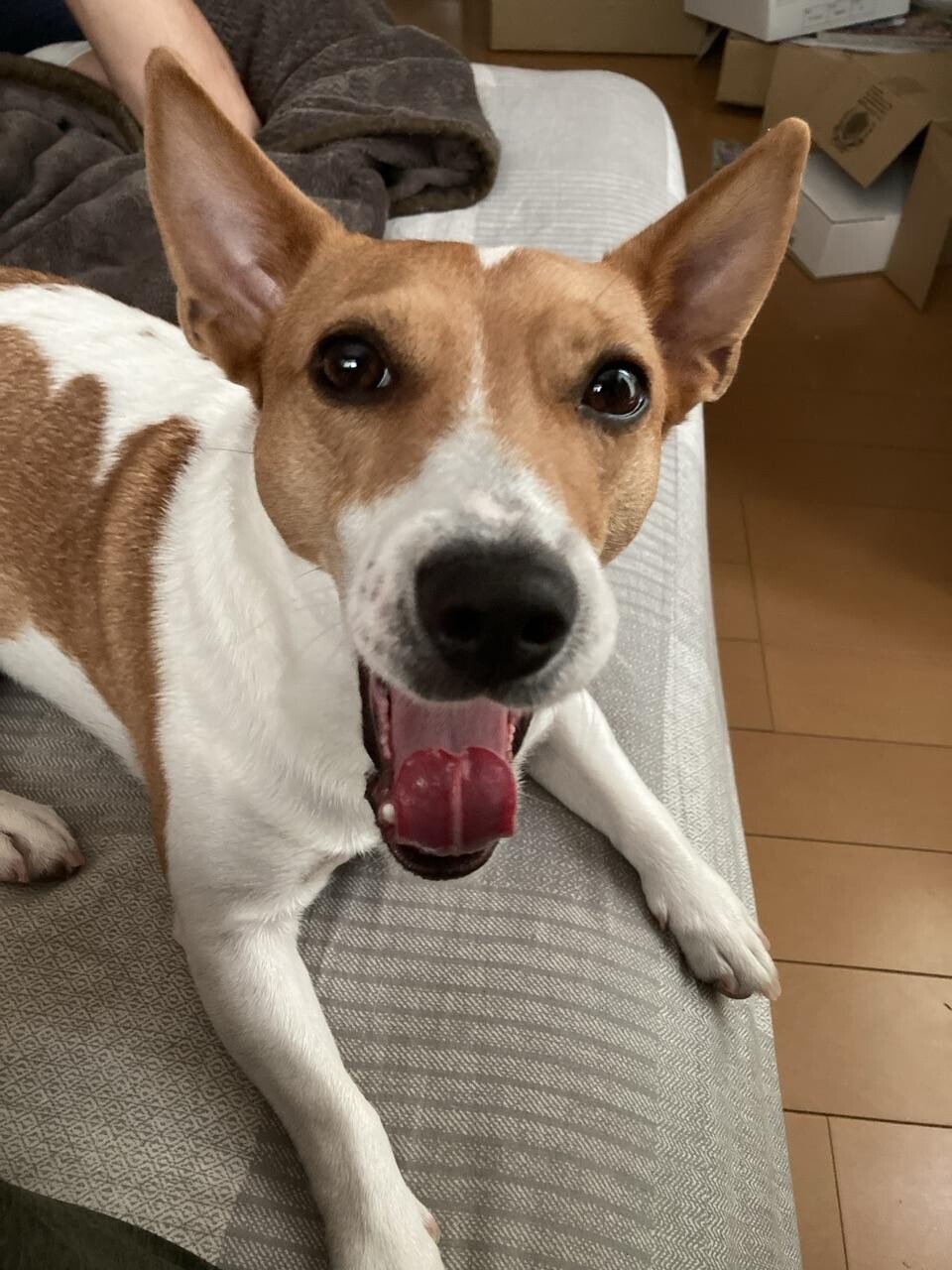 katsu-uのページ | YAMAP / ヤマップ