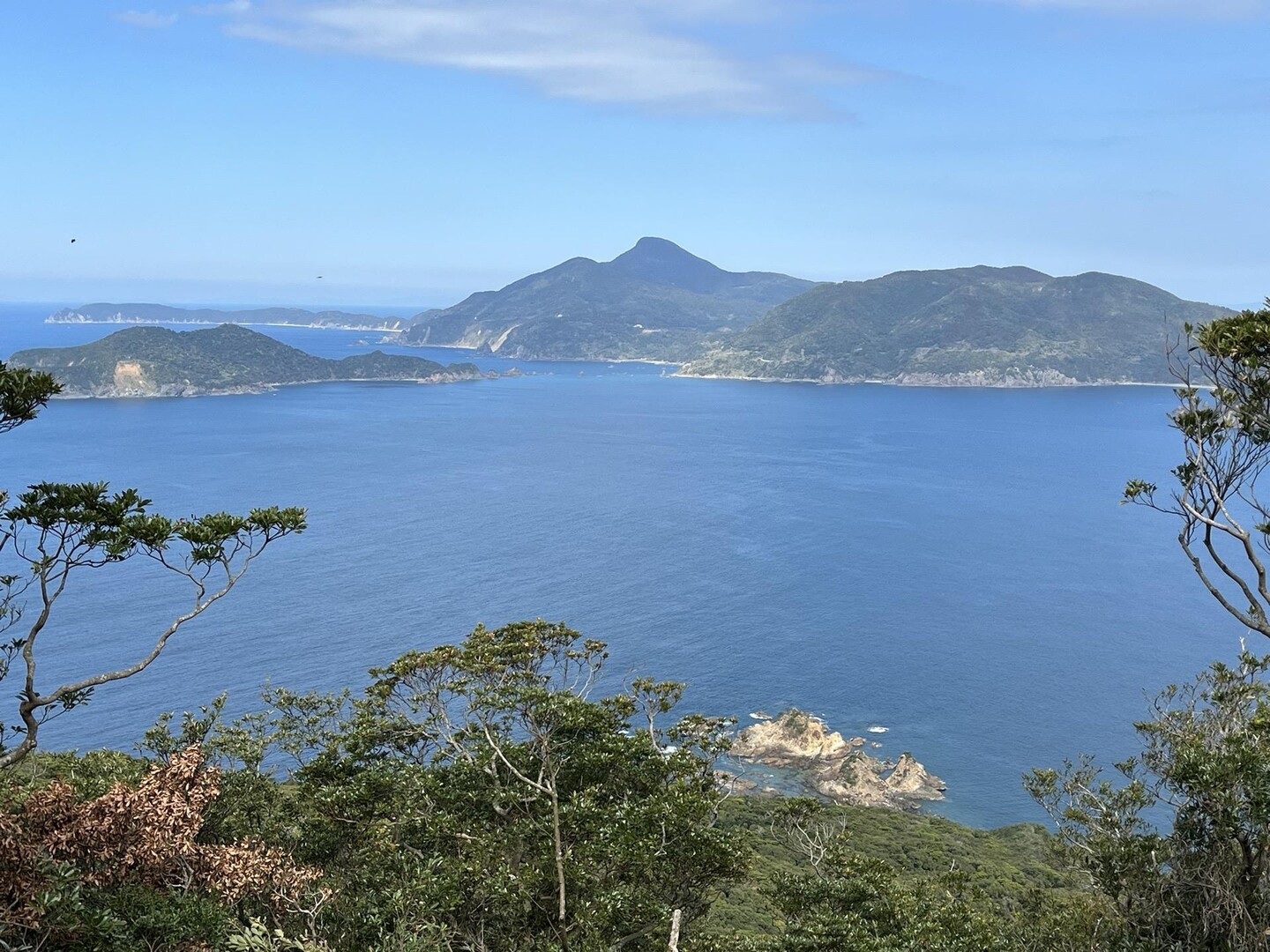 今岳・長者山 / chiitaさんの今岳・長者山の活動データ | YAMAP / ヤマップ