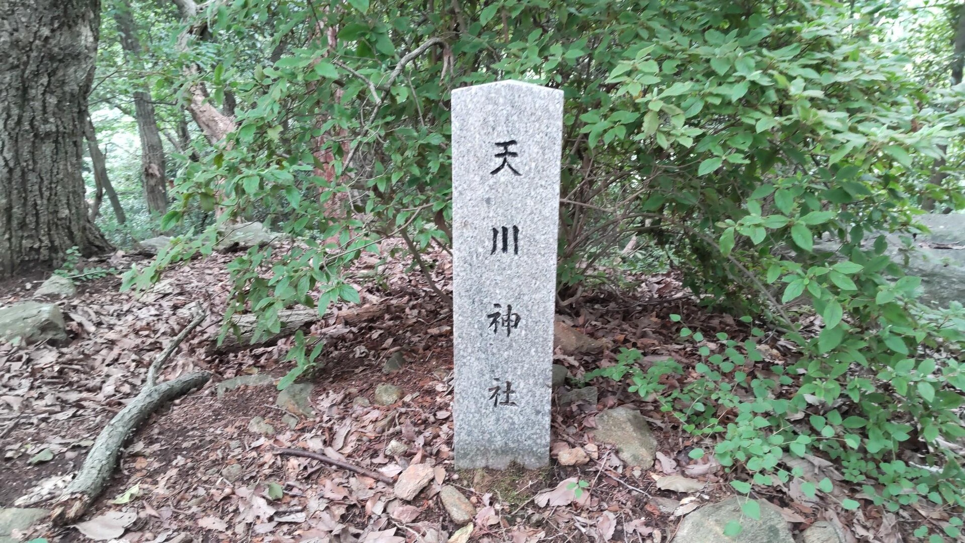 天川山 / Kobotさんの生駒山・神津嶽・大原山の活動データ | YAMAP / ヤマップ
