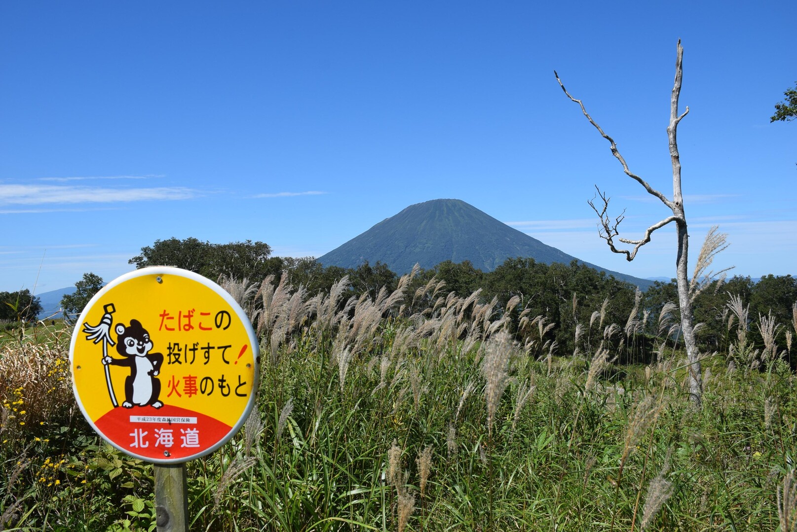尻別岳。 / ritchさんの尻別岳の活動データ | YAMAP / ヤマップ