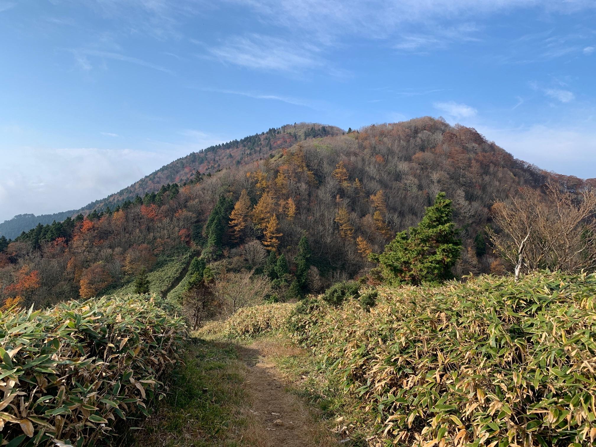 泉山・中央峰 / masaikeさんの泉山・井水山・黒沢山の活動データ | YAMAP / ヤマップ