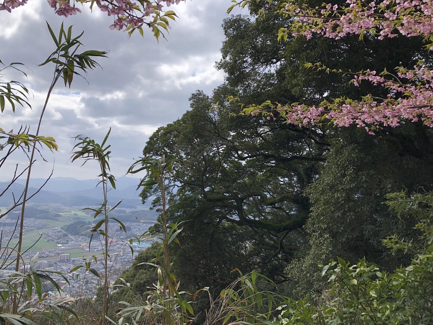 宗像四塚2Loop / yukaさんの湯川山・城山・孔大寺山の活動データ | YAMAP / ヤマップ