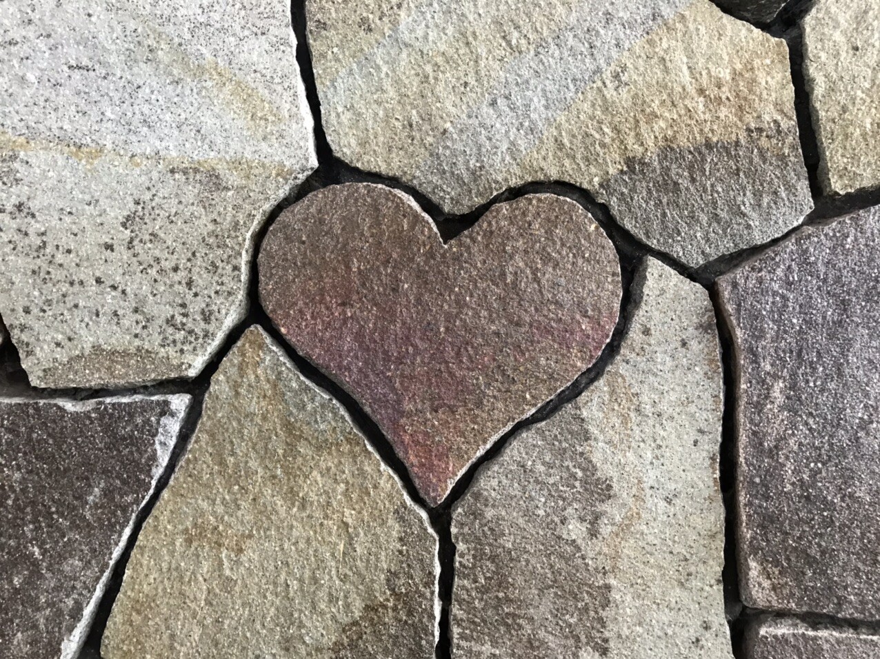 Kidney のページ | YAMAP / ヤマップ