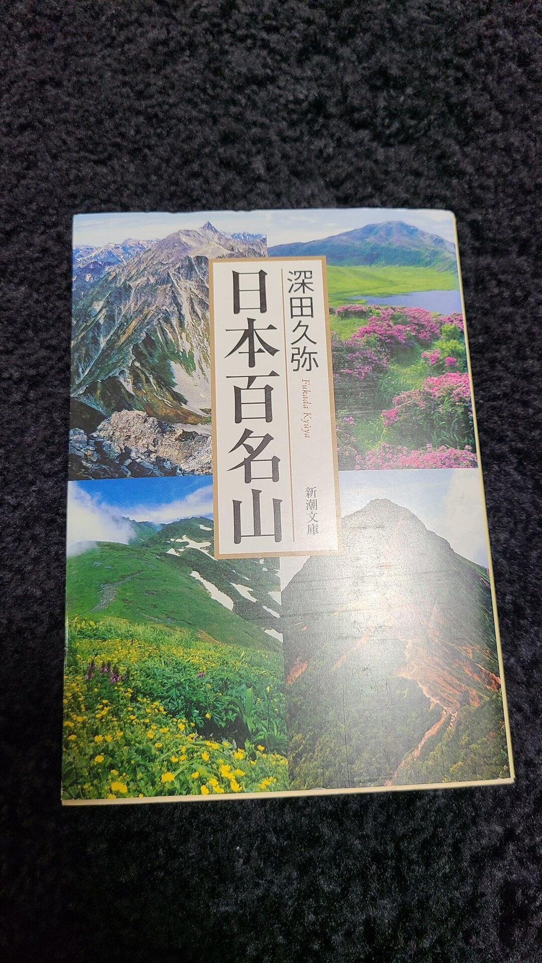 山登り8年目にして今さらですが買いました... / kaz23さんのモーメント | YAMAP / ヤマップ