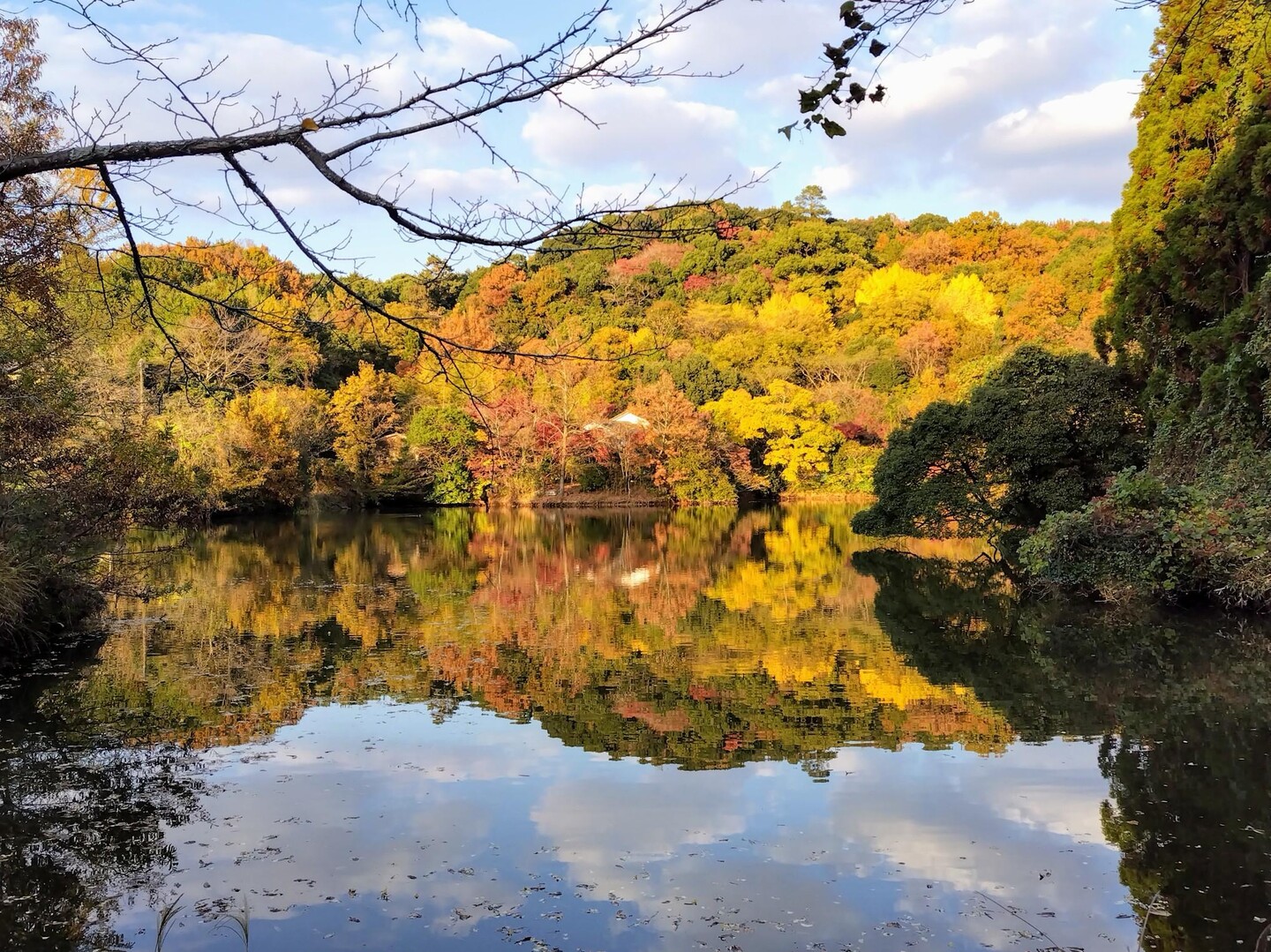 飯田山 R6.12.10 / かわとんぼさんの益城町の活動データ | YAMAP / ヤマップ