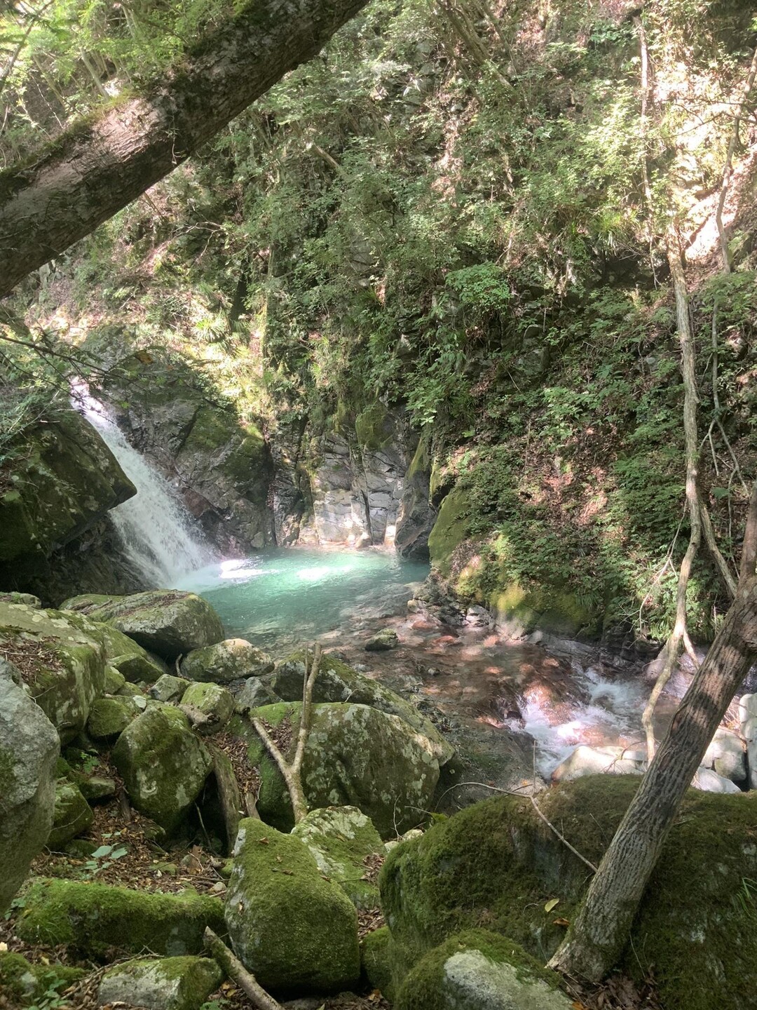 西丹沢VC↔️畦ヶ丸 / 山卯さんの大室山・畦ヶ丸山・菰釣山の活動データ | YAMAP / ヤマップ