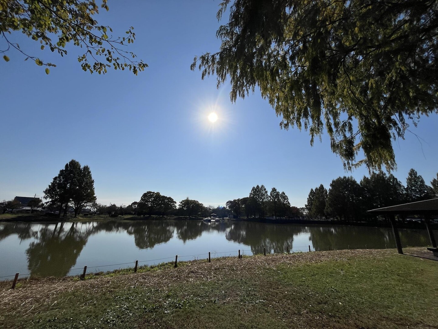 今日はポカポカの汗ばむ陽気🌞💦 じっ... / SSMさんのモーメント | YAMAP / ヤマップ
