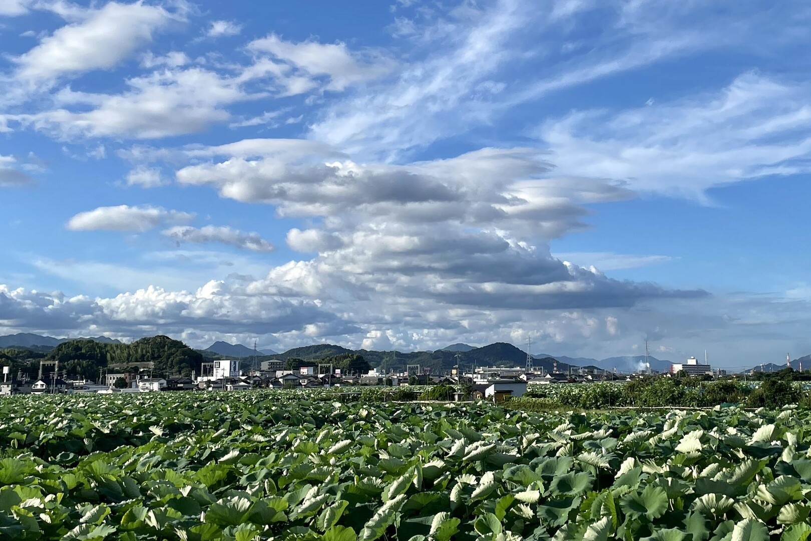 毎日、空（雲）が恐ろしく美しい🤩 ①〜... / GONKEさんのモーメント | YAMAP / ヤマップ