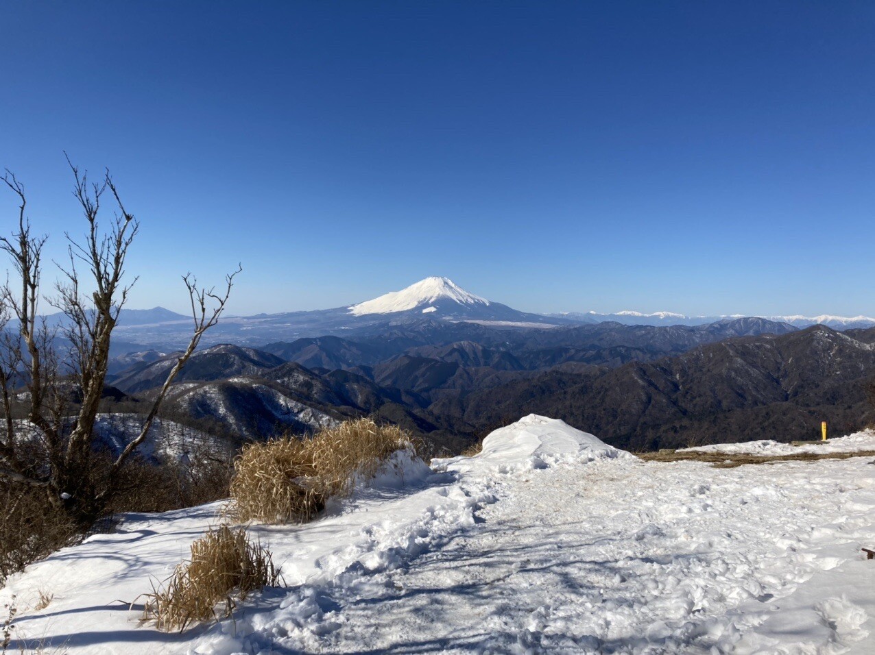 0131 塔ノ岳 すごい快晴 / Ryさんの塔ノ岳・丹沢山・蛭ヶ岳の活動データ | YAMAP / ヤマップ
