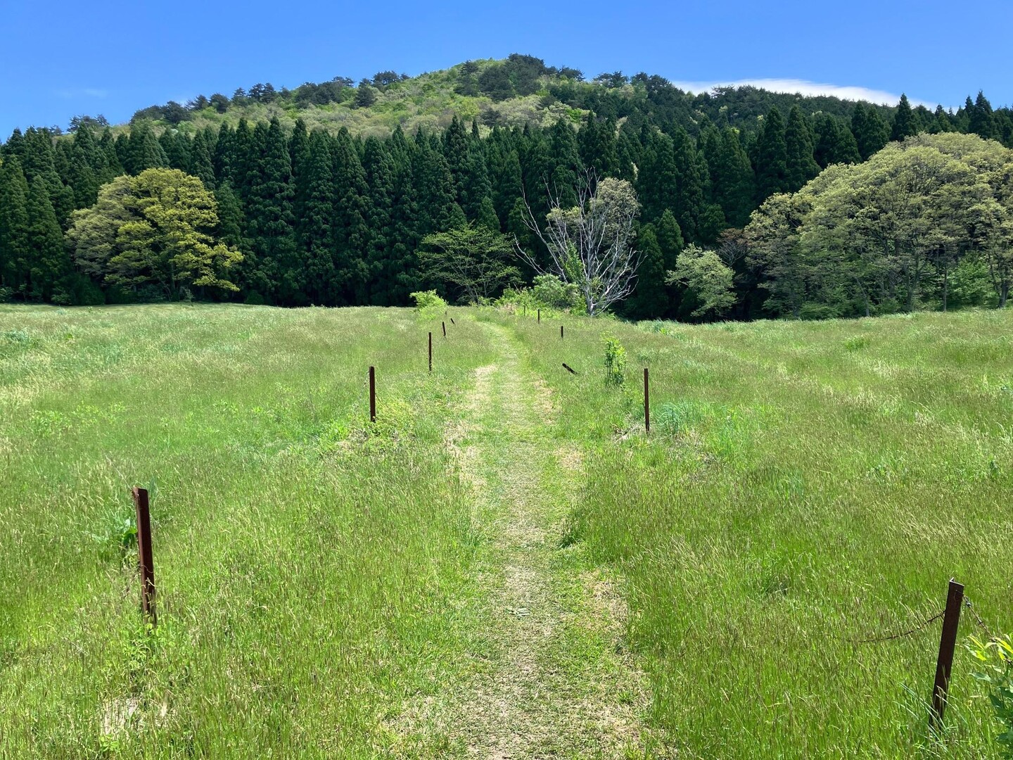 上蒜山 登山口から往復 / Joseph ☆ S.C.さんの蒜山の活動データ | YAMAP / ヤマップ