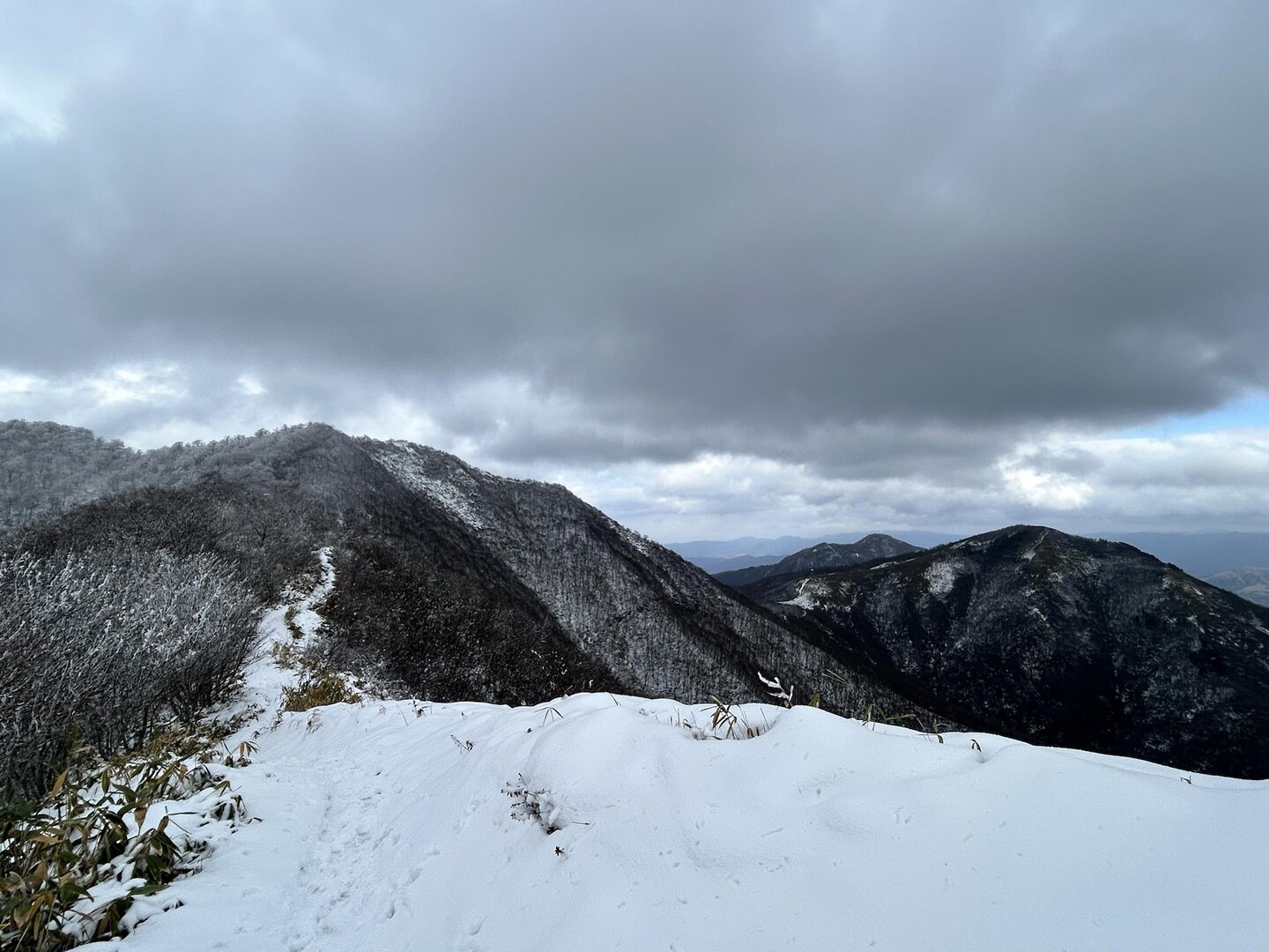 ⛄️雪の蒜山〈日本二百名山〉🏔️縦走 / misaさんの蒜山の活動データ | YAMAP / ヤマップ